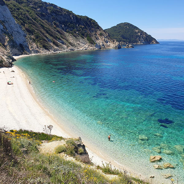 Prezzo Traghetto per l’Isola d’Elba: quanto costa il biglietto ...